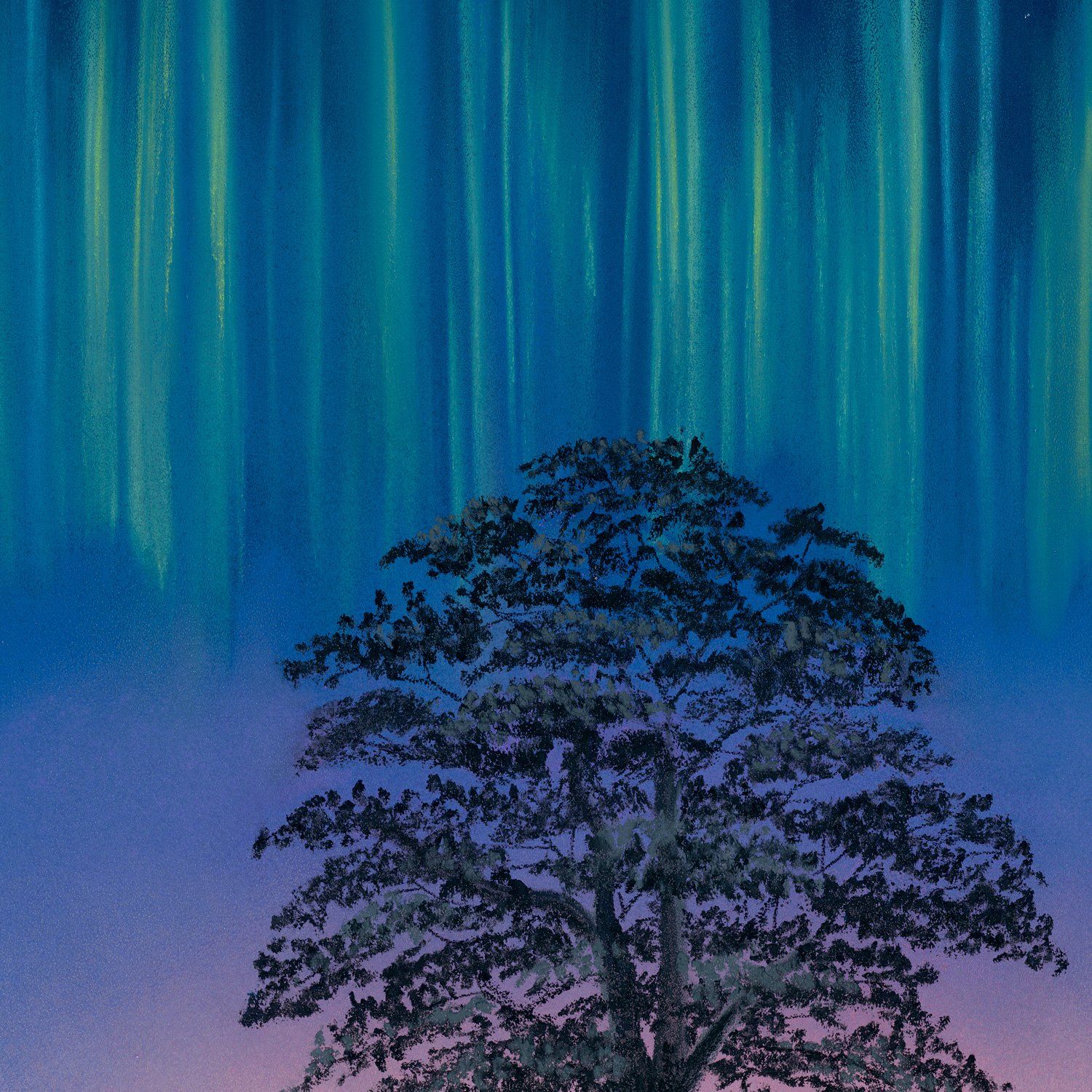 Sycamore Gap l Northumberland Artwork Prints & Canvases By Lucy Pittaway