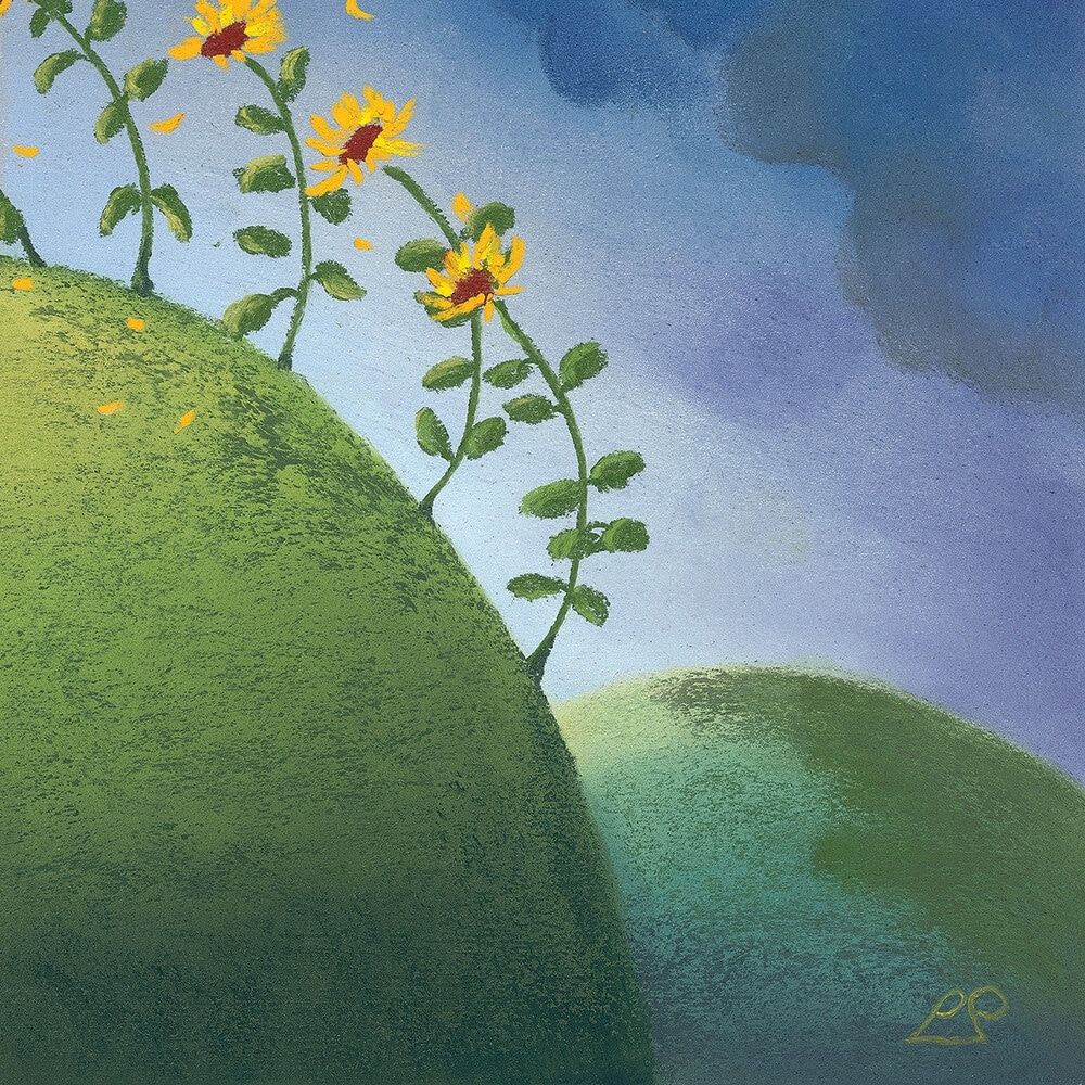 Lucy Pittaway Weathered Sunflowers | Lucy Pittaway