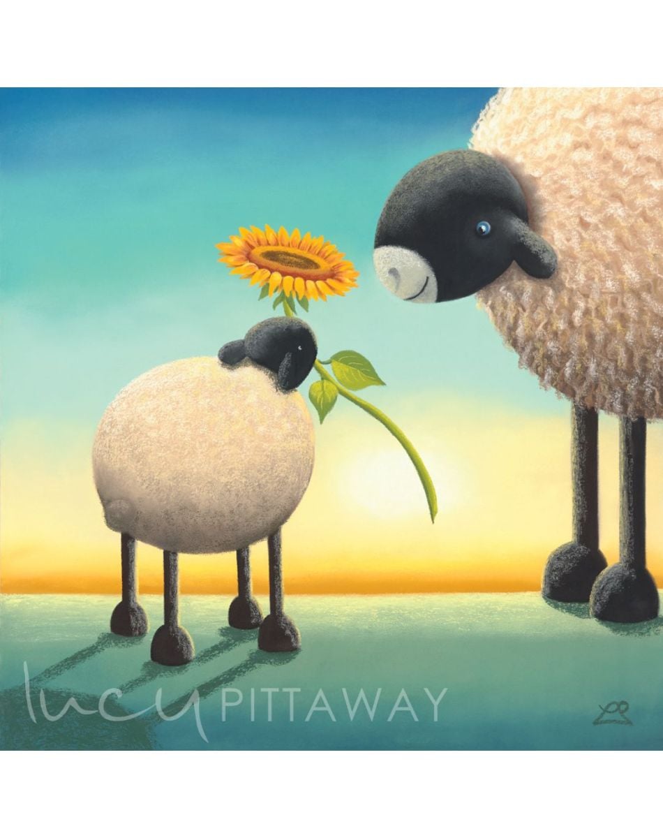 Sheep Collection Latest Releases | Lucy Pittaway